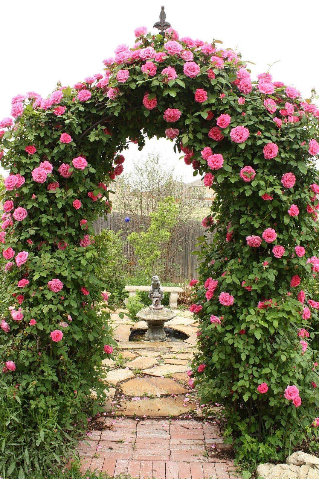 23 Beautiful Rose Garden Arbor Ideas To Try This Year | SharonSable