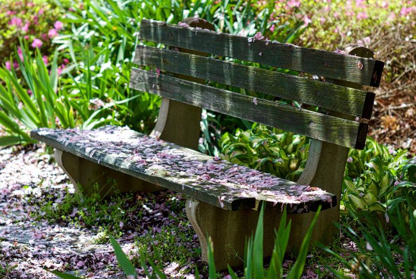 25 Beautiful Garden with Benches Ideas You Should Look | SharonSable