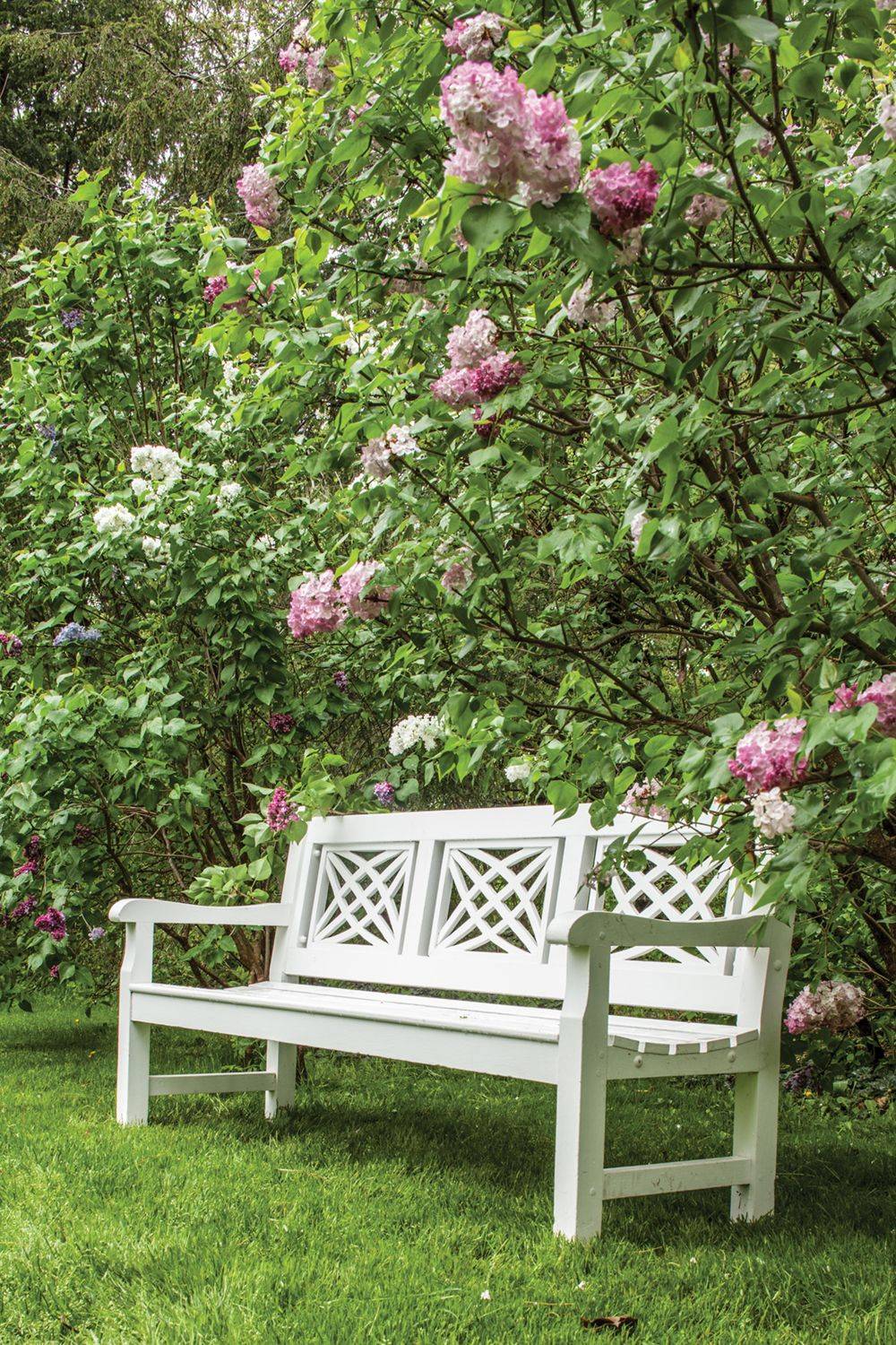 25 Beautiful Garden with Benches Ideas You Should Look | SharonSable