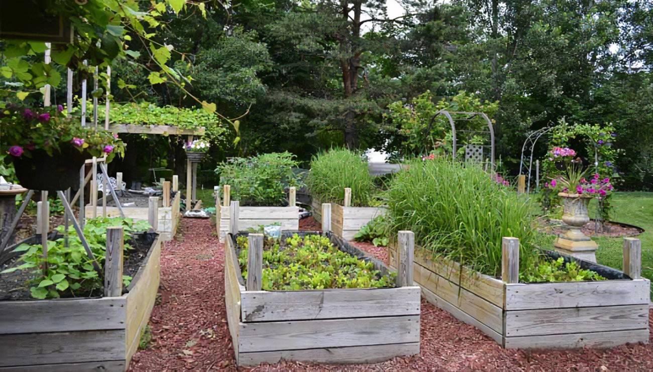 17 Prepper Garden Ideas For This Year | SharonSable