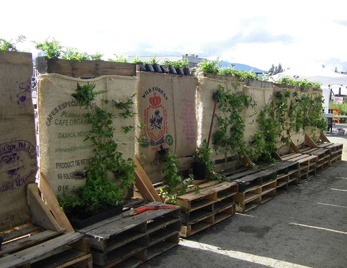 17 Prepper Garden Ideas For This Year | SharonSable