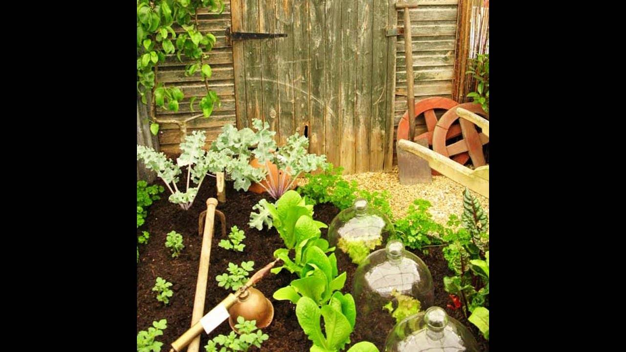 17 Prepper Garden Ideas For This Year | SharonSable