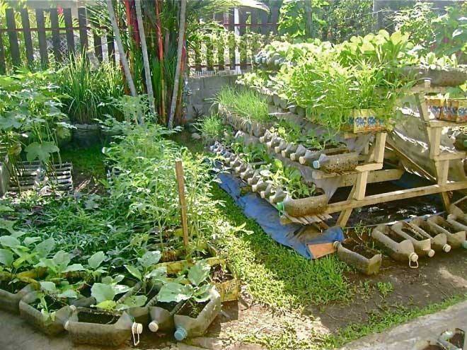 17 Prepper Garden Ideas For This Year | SharonSable