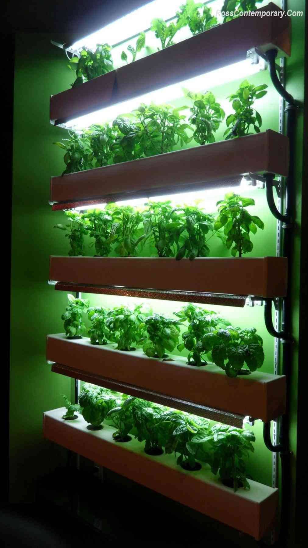 21 Hydroponic Wall Garden Ideas You Must Look | SharonSable