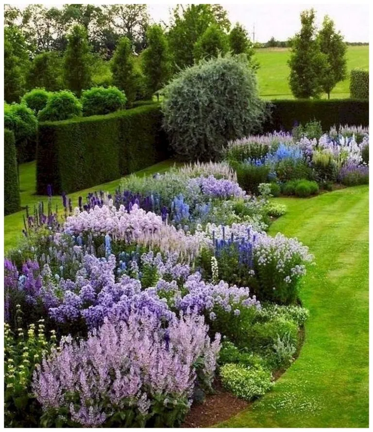 16 Low Maintenance Shrub Garden Ideas To Try This Year | SharonSable