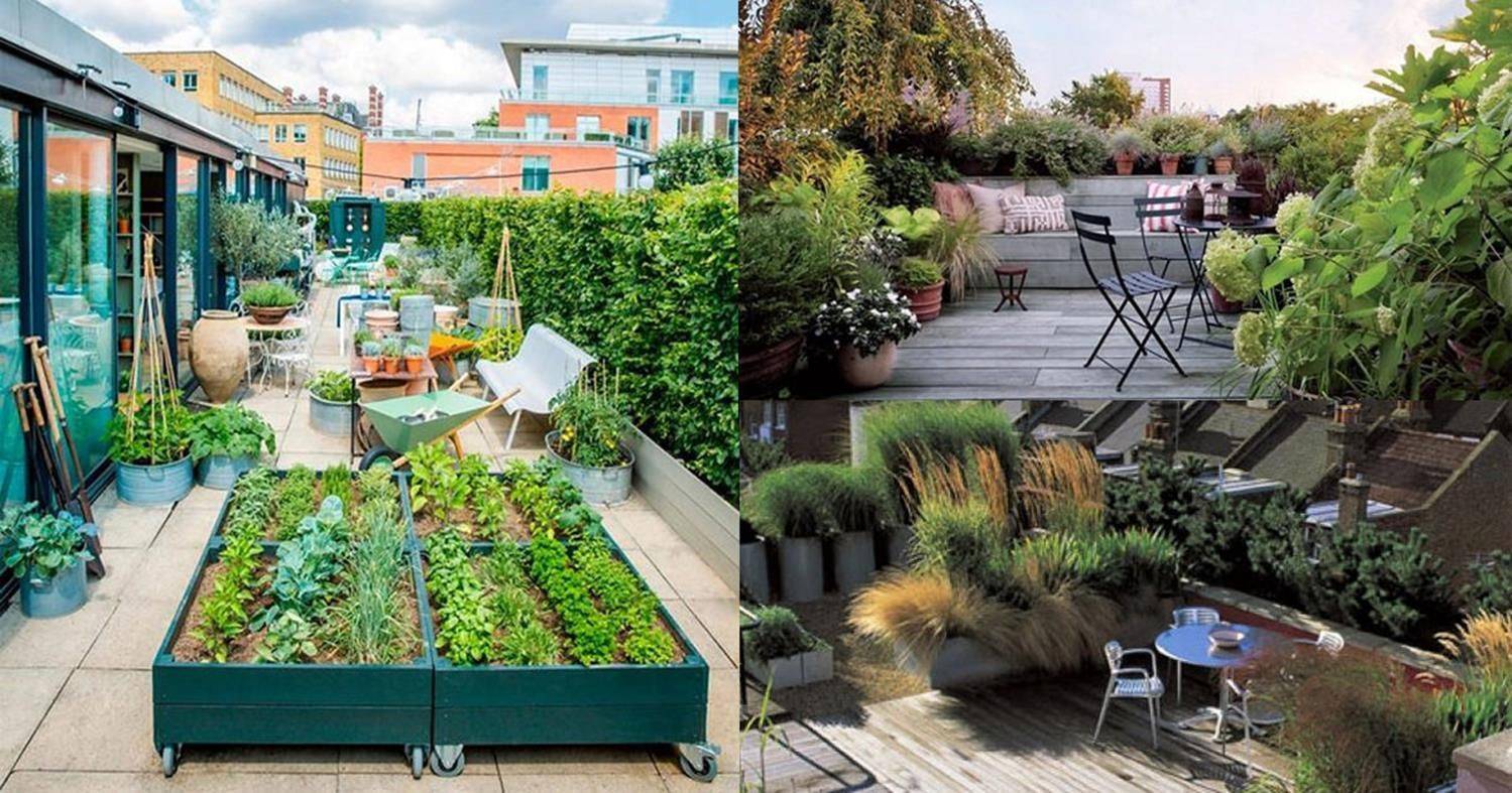 22 Rooftop Vegetable Garden Ideas To Try This Year | SharonSable