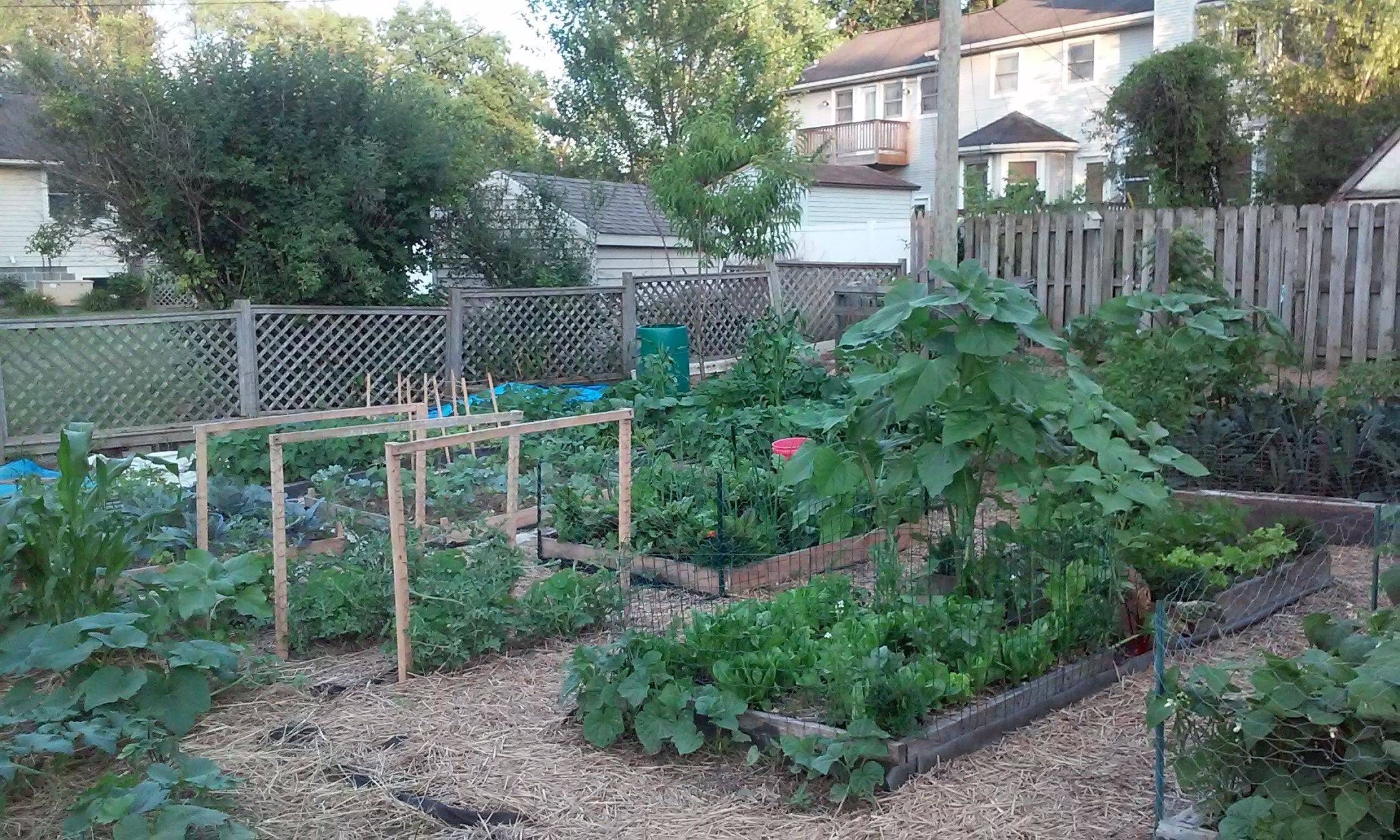 19 Vegetable Garden Inspiration Ideas To Consider | SharonSable