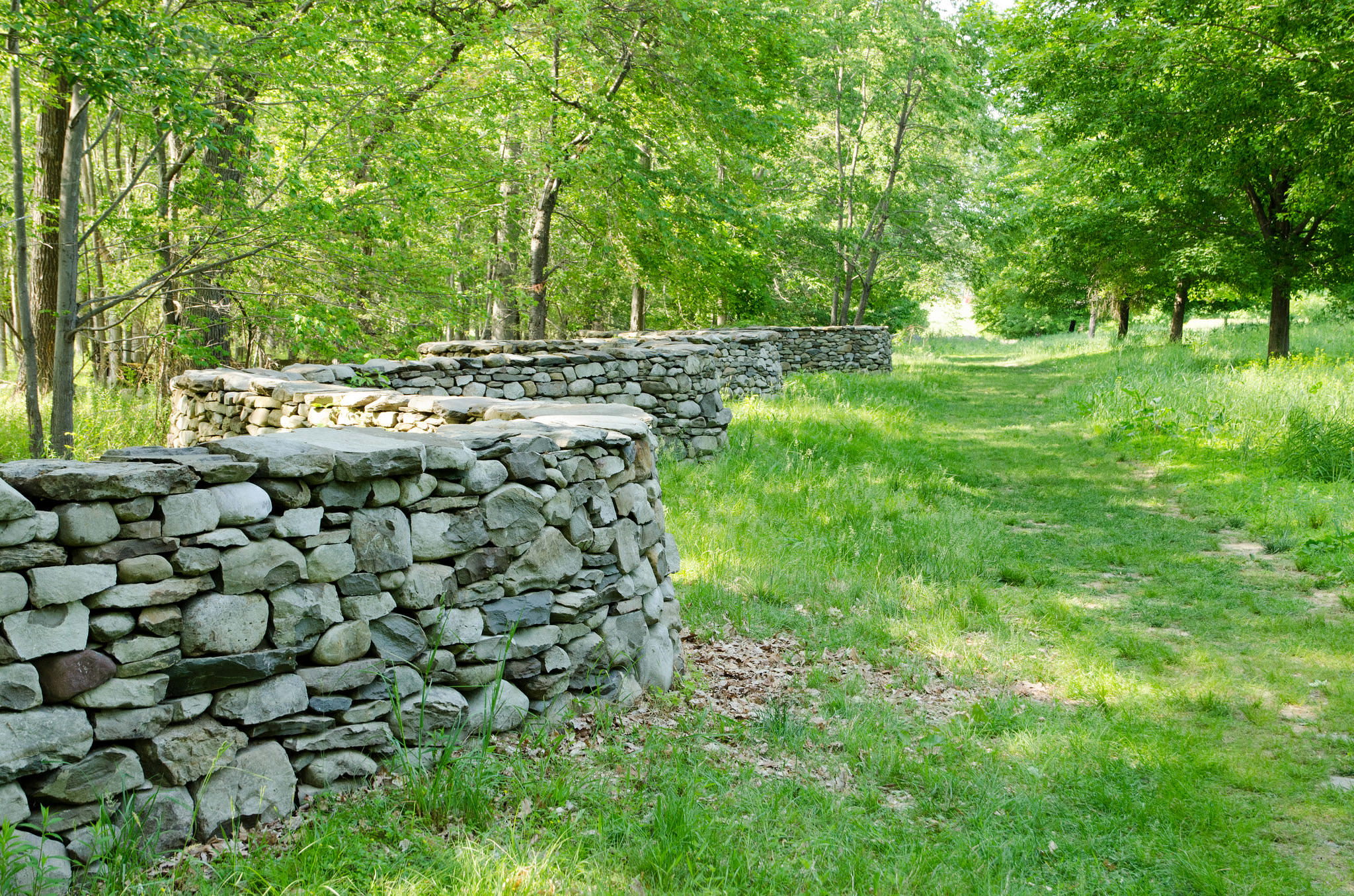 25 Rock Wall Garden Ideas You Cannot Miss | SharonSable