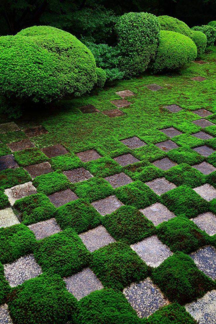 23 Japanese Moss Garden Ideas You Gonna Love | SharonSable