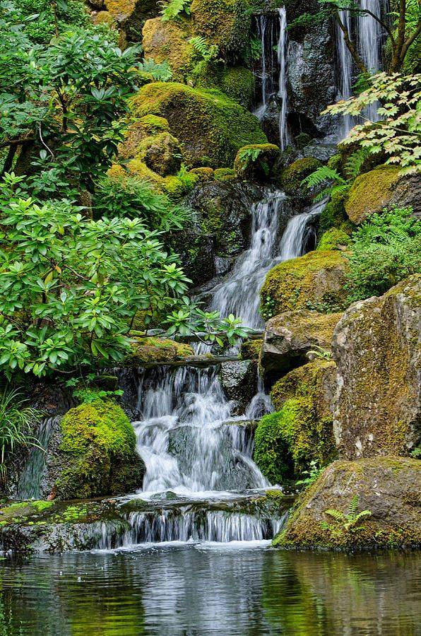 20 Japanese Garden Waterfall Ideas You Must Look | SharonSable