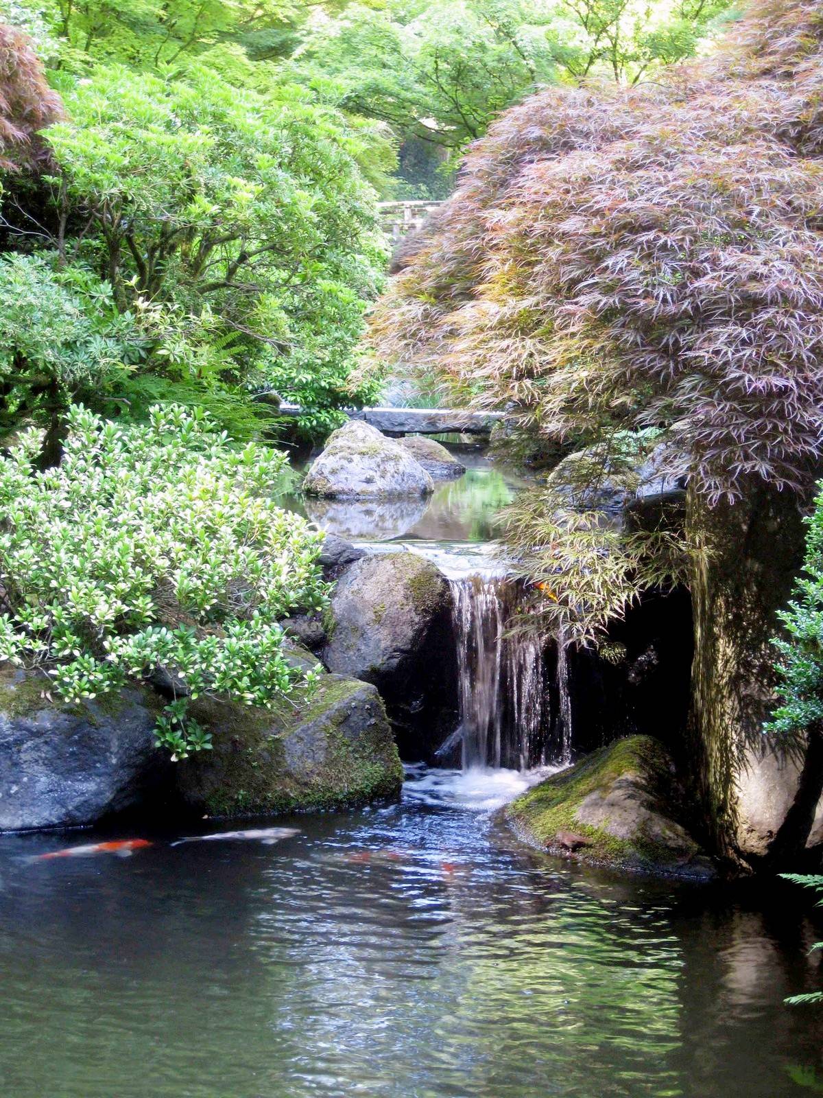 20 Japanese Garden Waterfall Ideas You Must Look | SharonSable