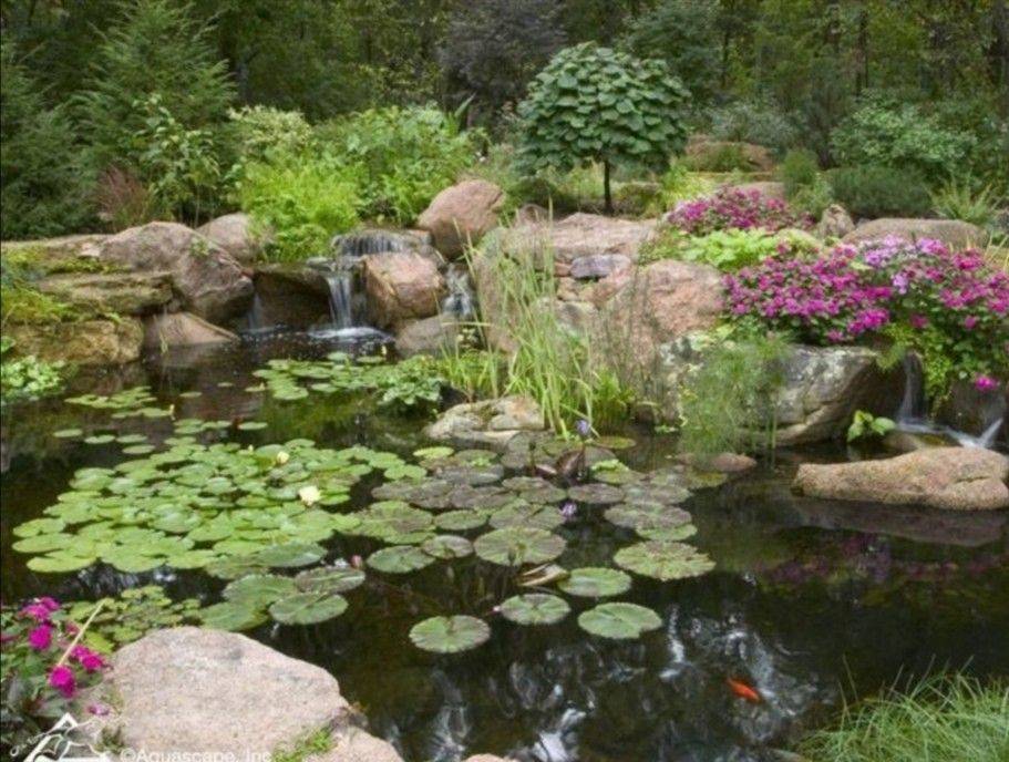 18 Japanese Water Garden Ponds Ideas You Gonna Love | SharonSable