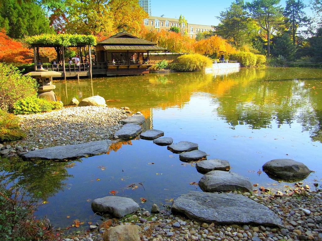 20 Small Japanese Garden Pond Ideas You Should Check | SharonSable