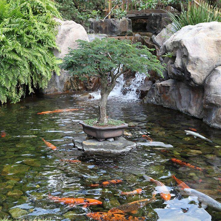 19 Japanese Koi Garden Ideas To Consider | SharonSable
