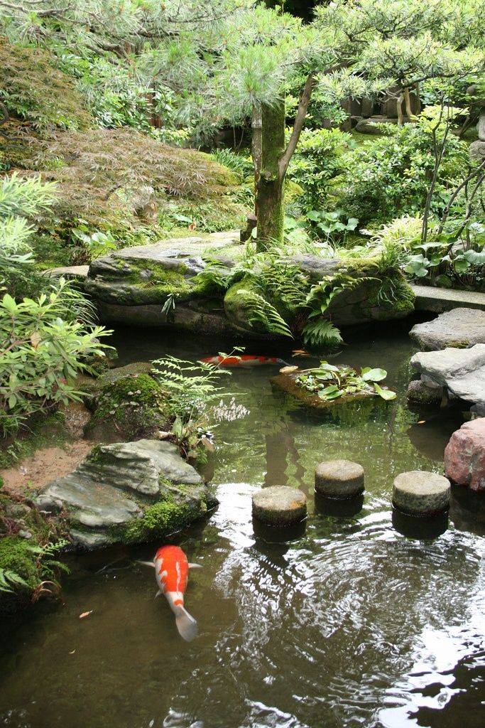 19 Japanese Koi Garden Ideas To Consider | SharonSable