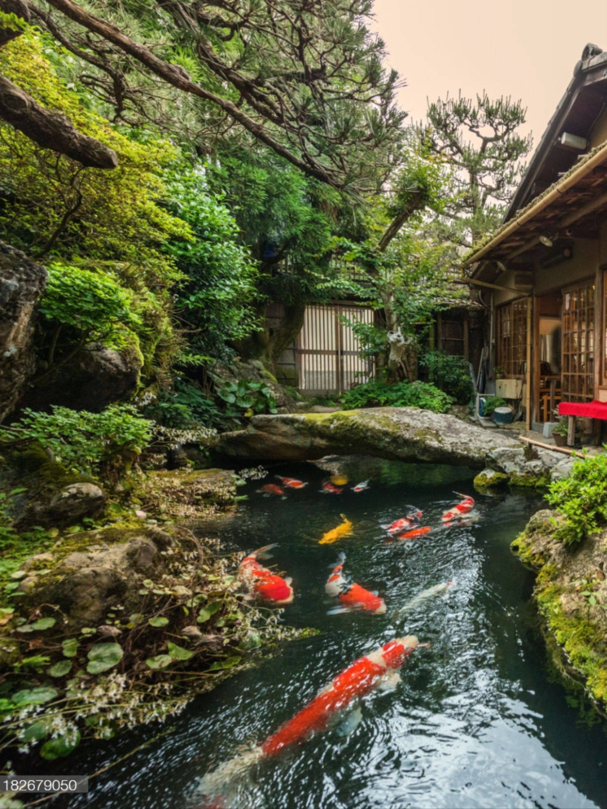 19 Japanese Koi Garden Ideas To Consider | SharonSable