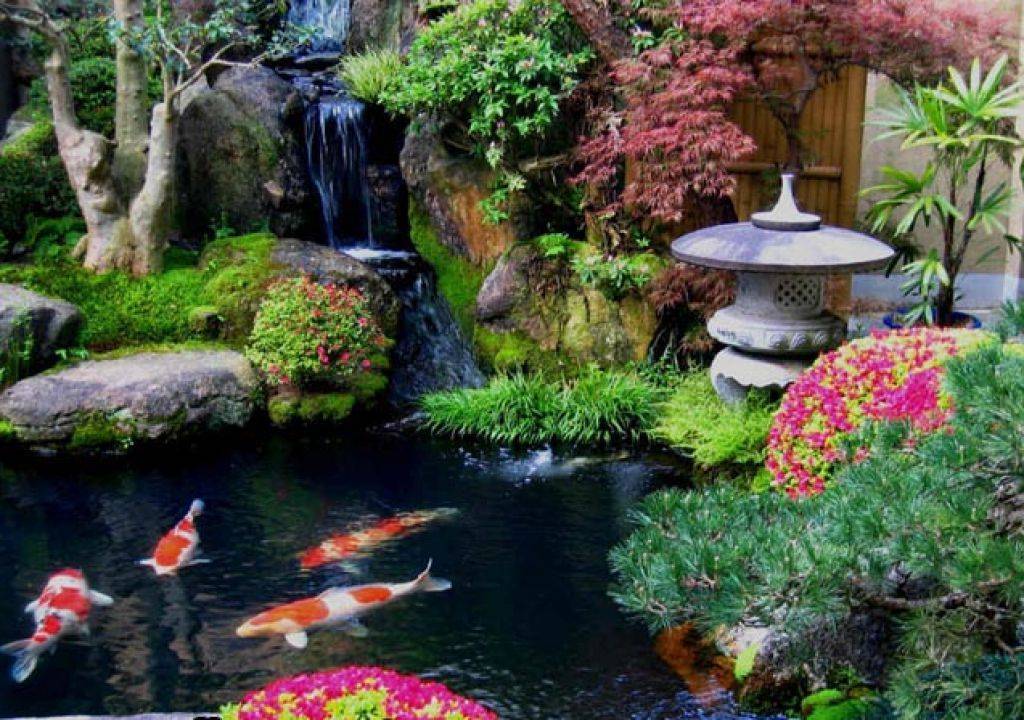 19 Japanese Koi Garden Ideas To Consider | SharonSable