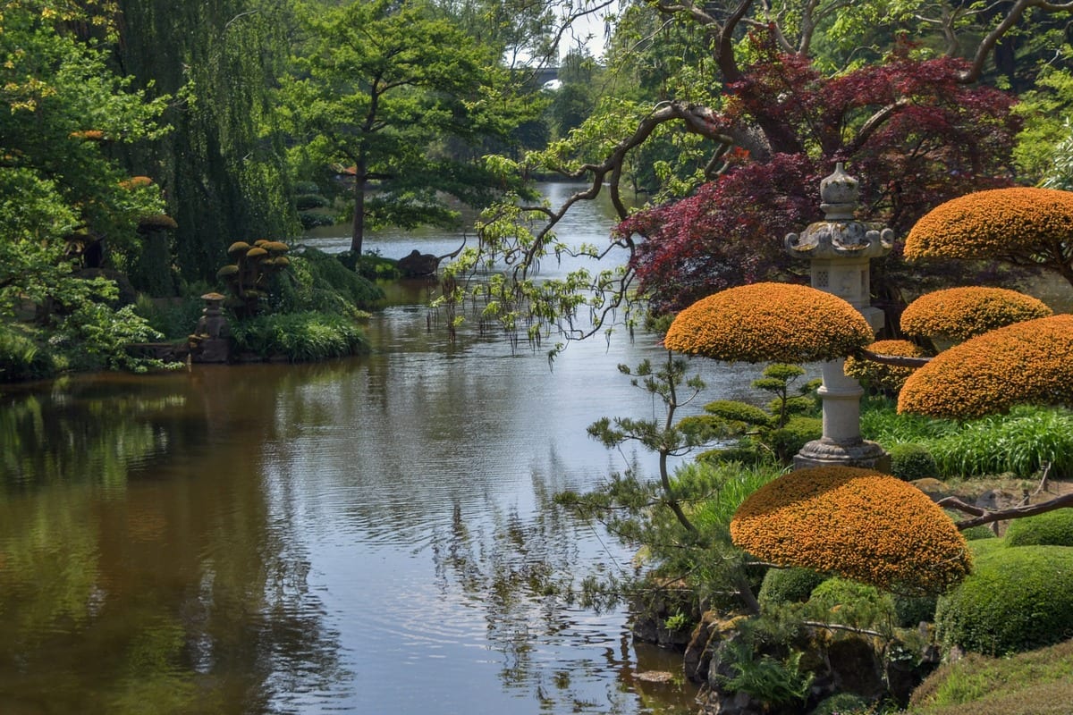 18 Japanese Garden Design Plants Ideas To Consider | SharonSable