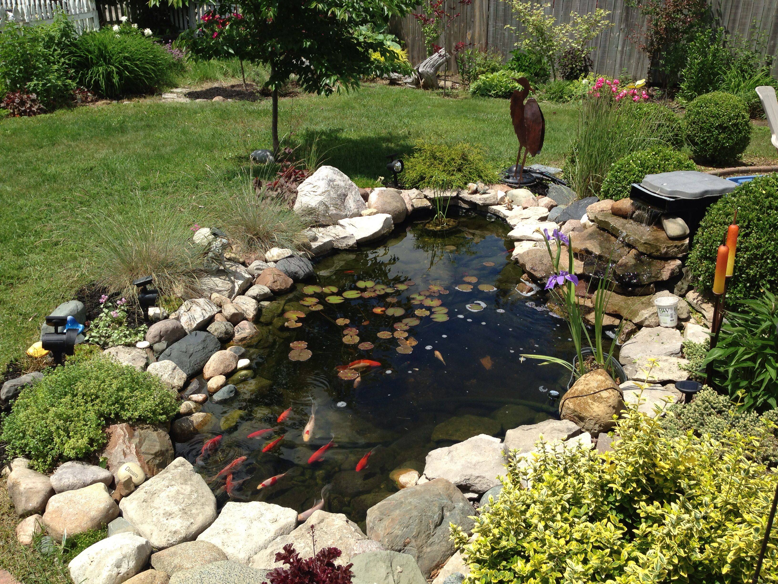 24 Small Garden Pond Ideas Worth to Check | SharonSable
