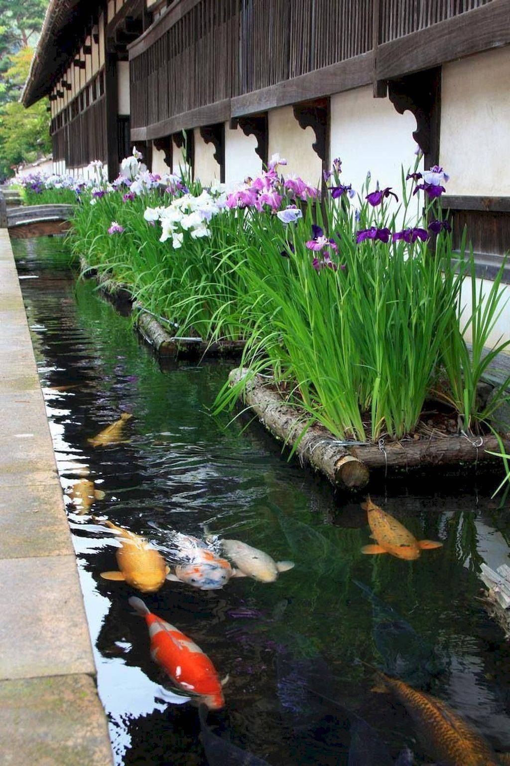 19 Small Japanese Garden Koi Pond Ideas Worth to Check | SharonSable