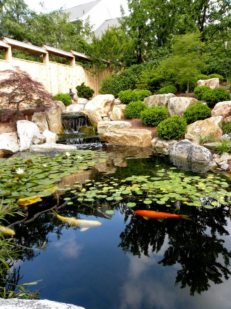 19 Asian Garden with Koi Pond Ideas Worth to Check | SharonSable
