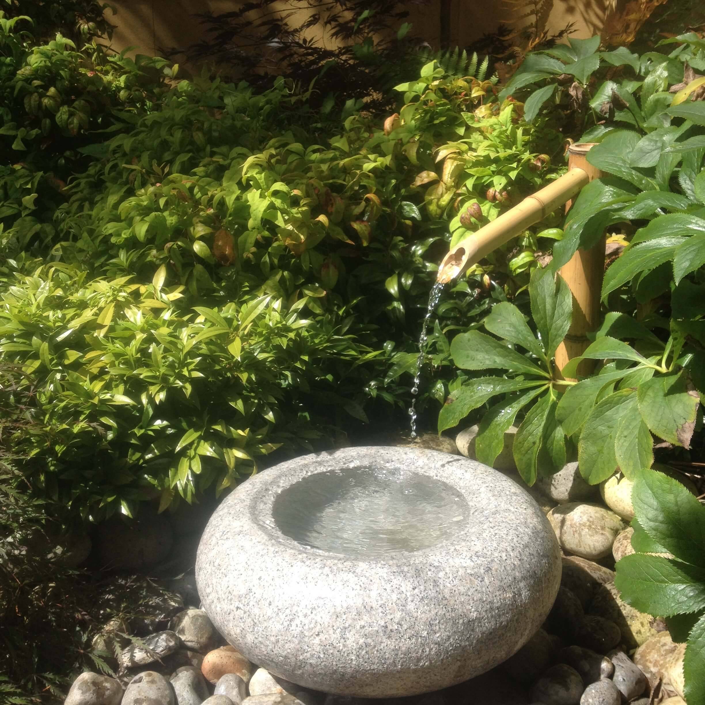 18 Japanese Garden Water Basins Ideas You Cannot Miss | SharonSable