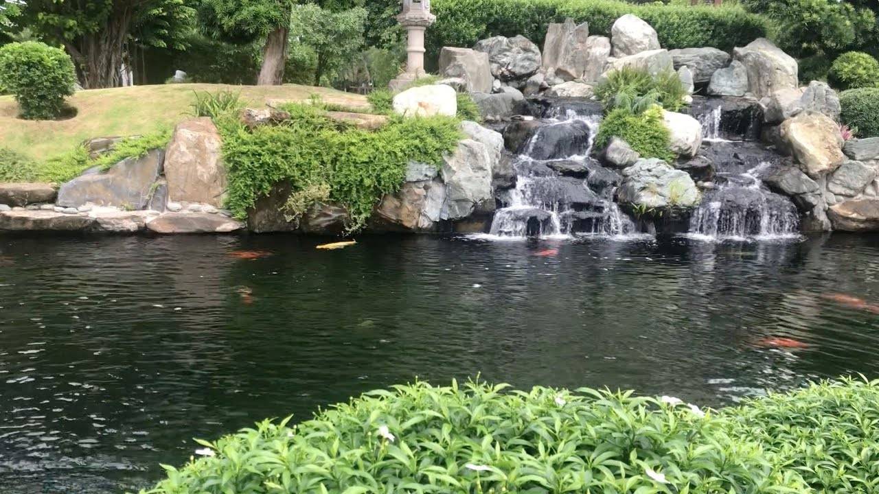 22 Japanese Garden Koi Pond Waterfall Ideas To Consider | SharonSable