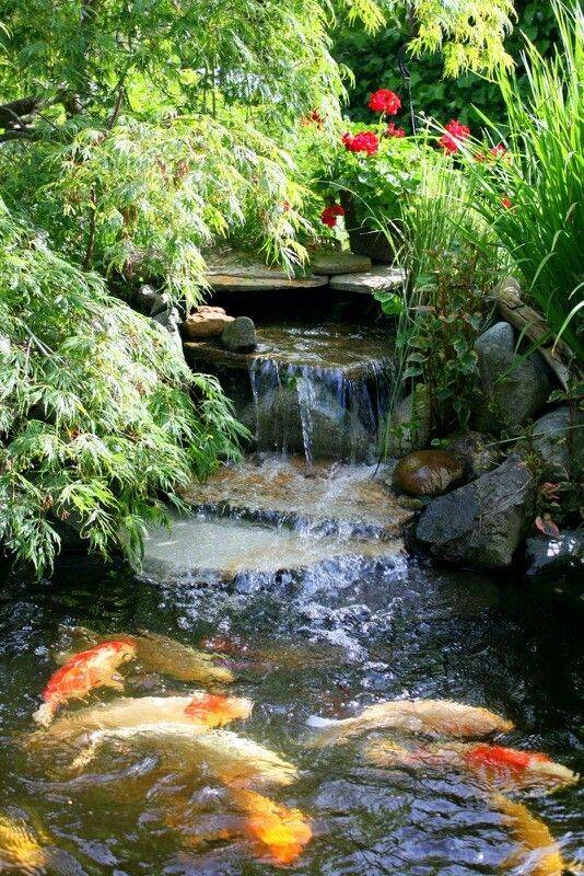 22 Japanese Garden Koi Pond Waterfall Ideas To Consider | SharonSable