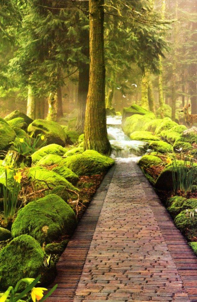 19 Forest Garden Paths and Walkways Ideas You Gonna Love | SharonSable