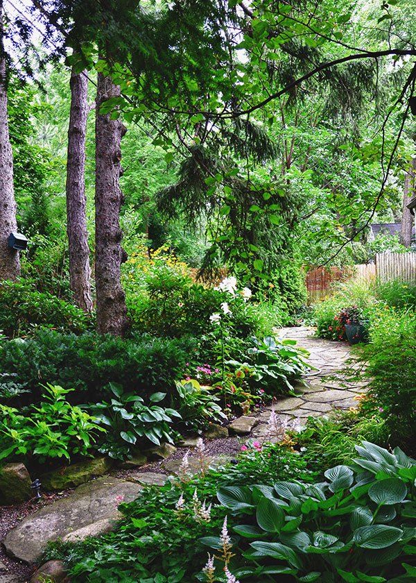 19 Forest Garden Paths and Walkways Ideas You Gonna Love | SharonSable