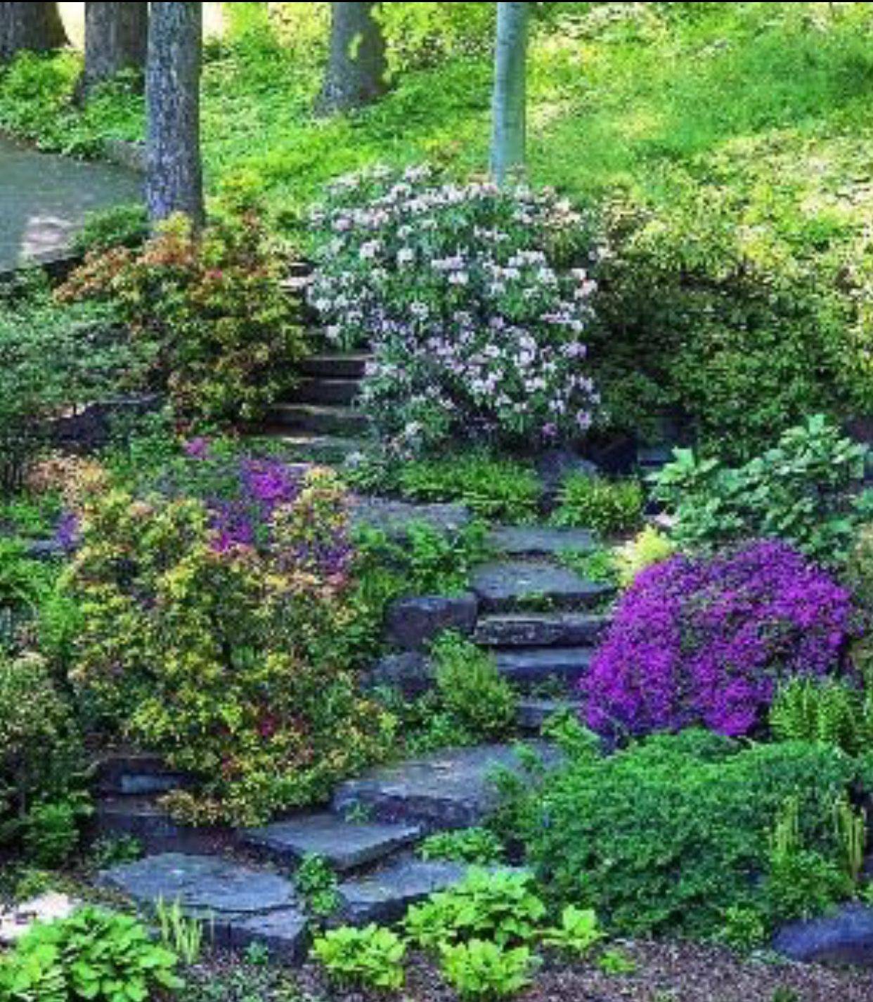 21 Beautiful Shade Garden Paths Ideas To Consider | SharonSable
