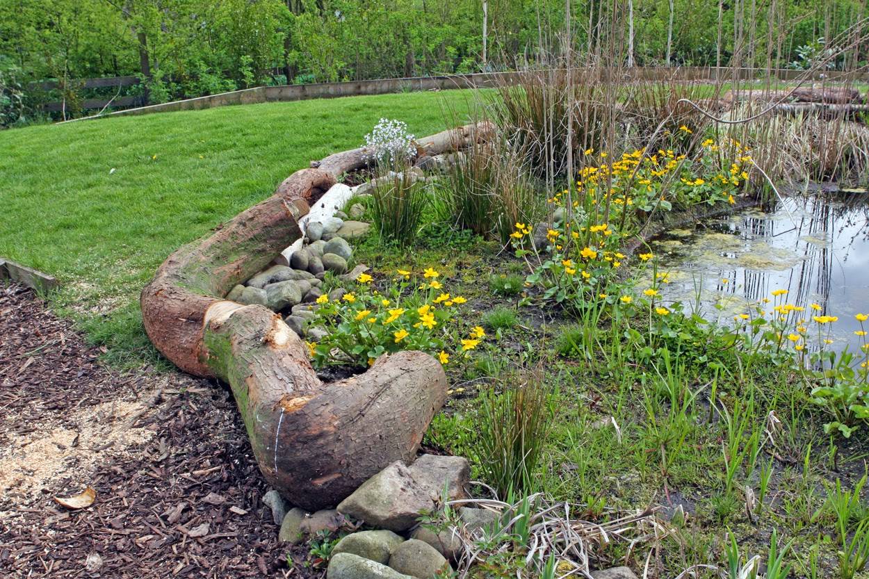 15 Natural Log Garden Edging Ideas You Cannot Miss | SharonSable