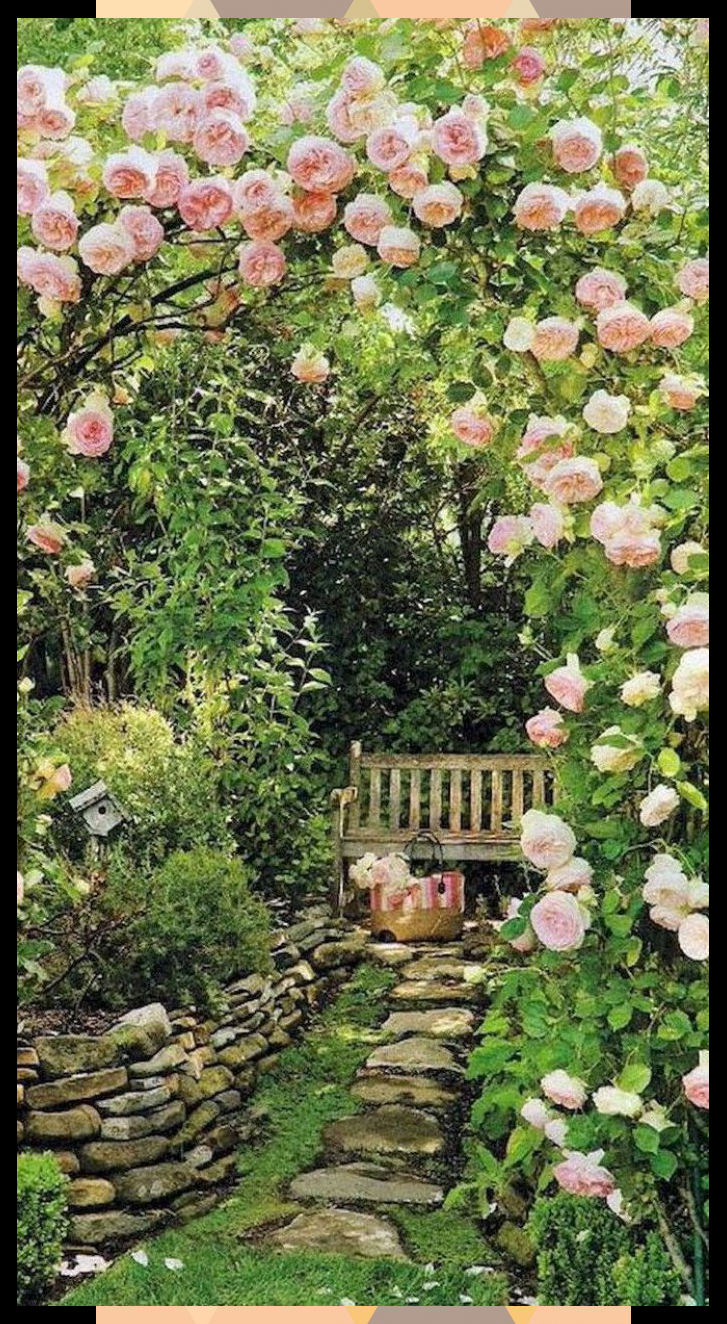 24 English Rose Country Garden Ideas You Must Look | SharonSable