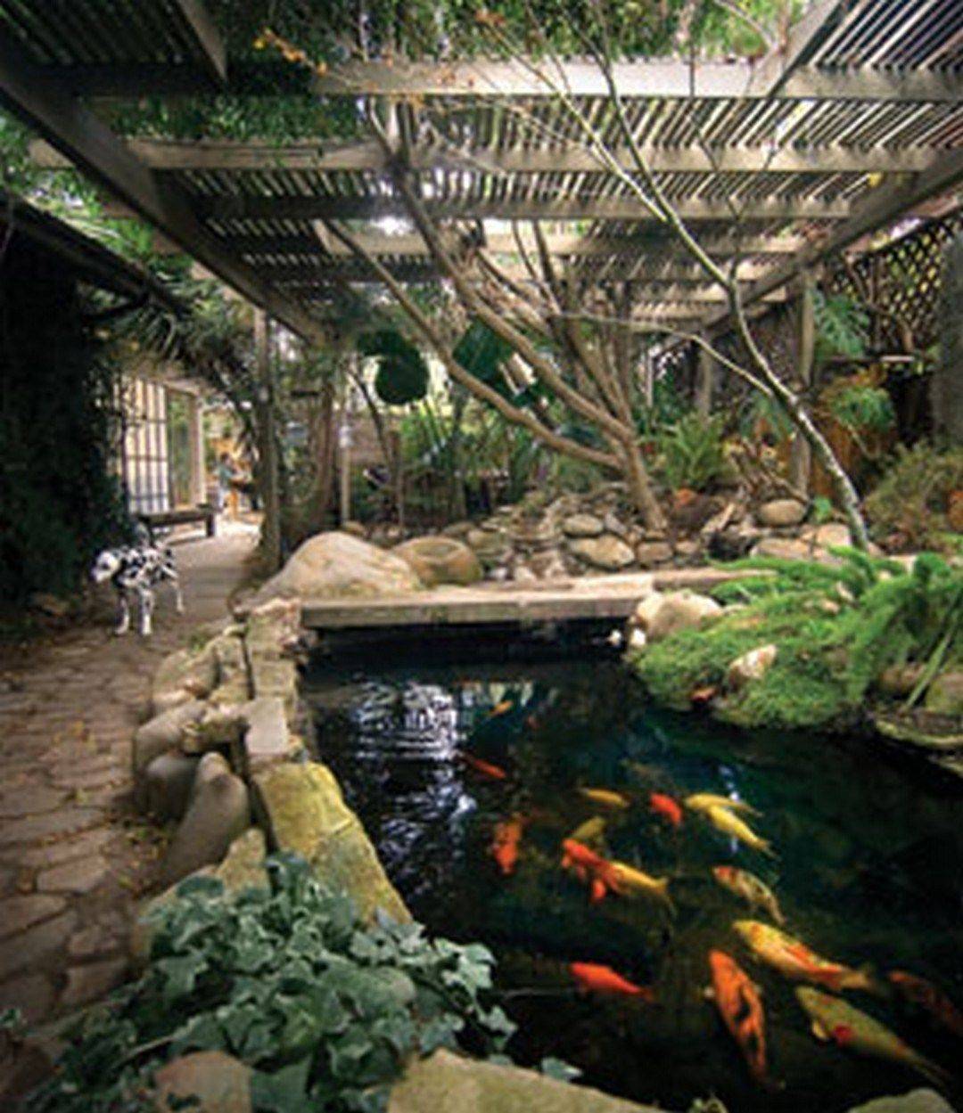 17 Japanese Koi Fish Pond and Garden Ideas To Consider | SharonSable
