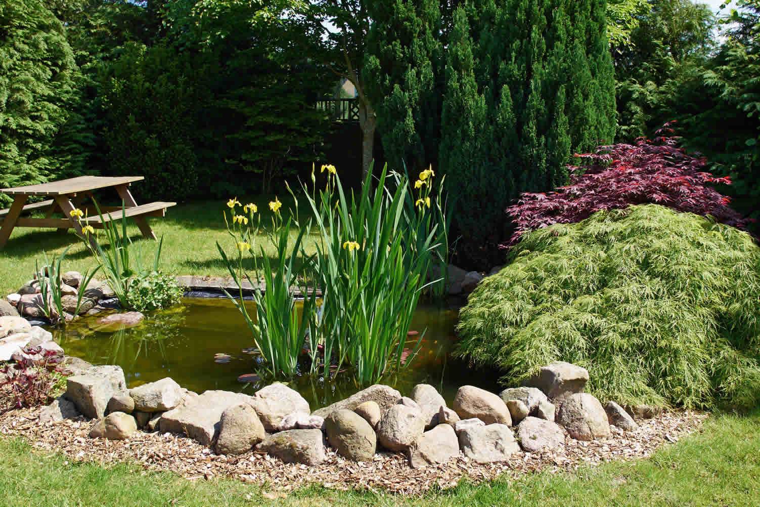 22 Garden Pond Edging Ideas You Must Look | SharonSable