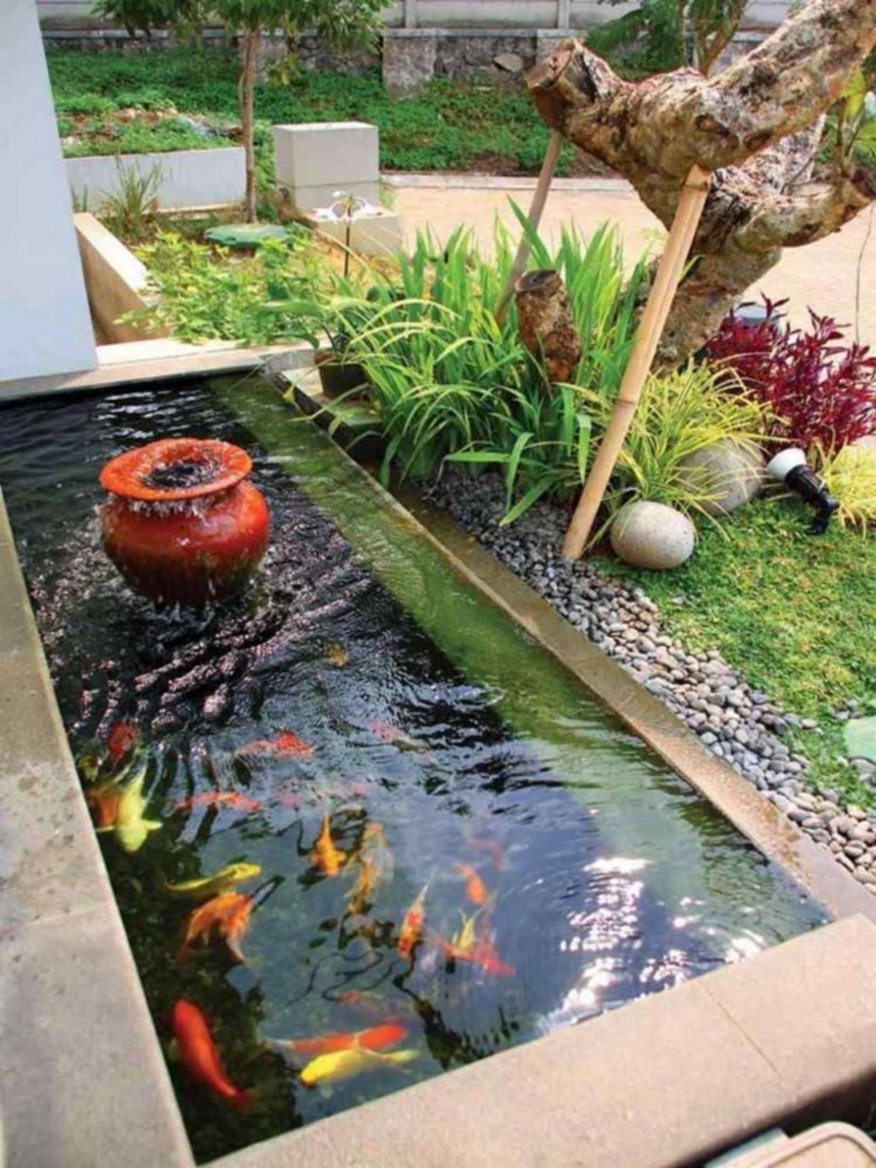 21 How to Build a Garden Pond Ideas You Cannot Miss | SharonSable