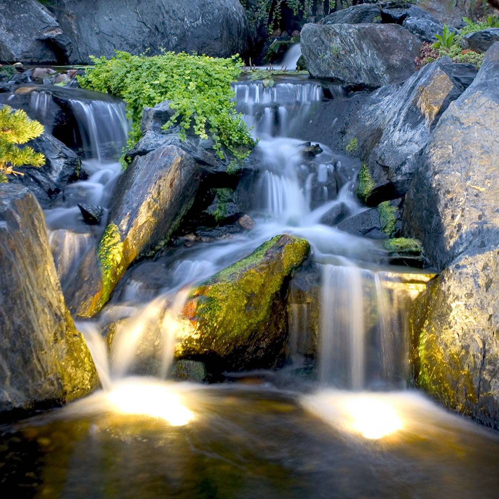 22 Garden Pond Waterfall Lights Ideas Worth to Check | SharonSable