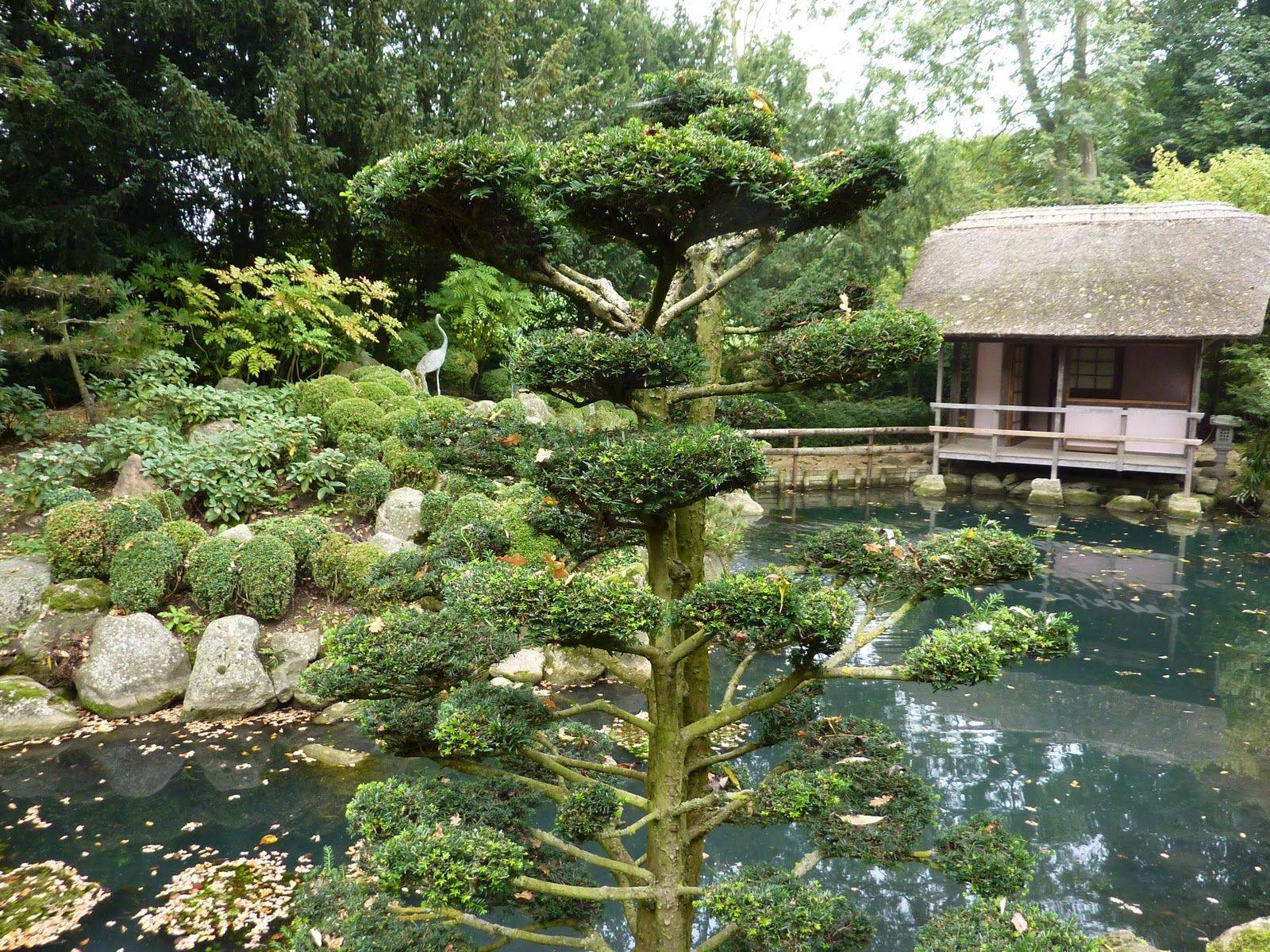 23 Simple Japanese Tea House Garden Ideas You Must Look | SharonSable