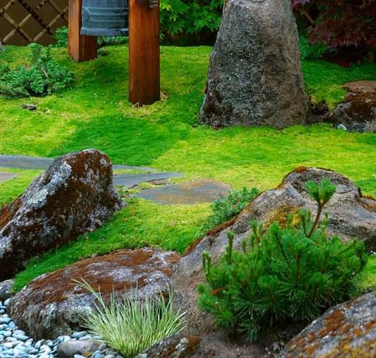 19 Moss Rock Garden Ideas Worth to Check | SharonSable