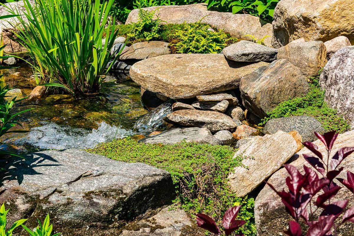 19 Moss Rock Garden Ideas Worth to Check | SharonSable