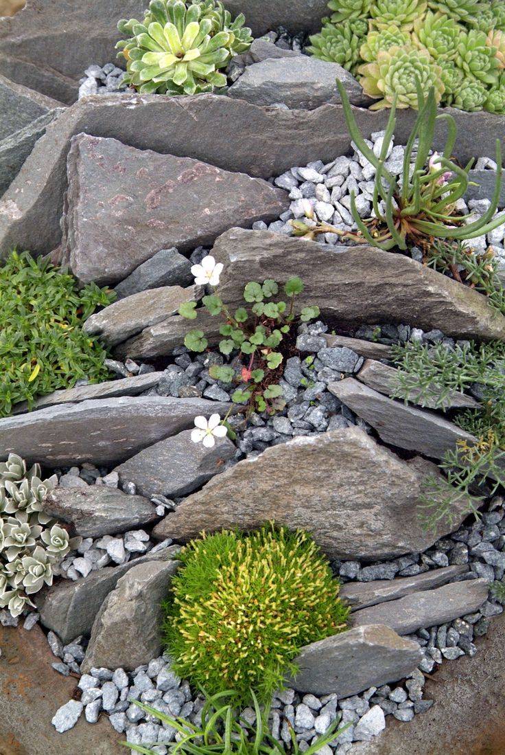 15 Mini Rock Garden Ideas You Should Check | SharonSable