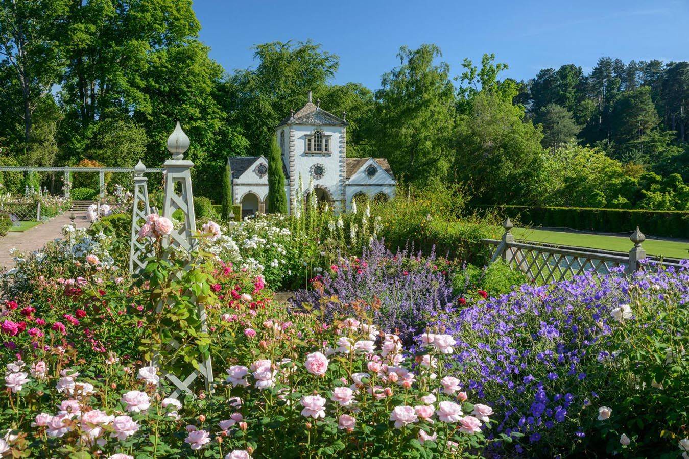 18 Mixed Border Garden Design Ideas Worth a Look | SharonSable