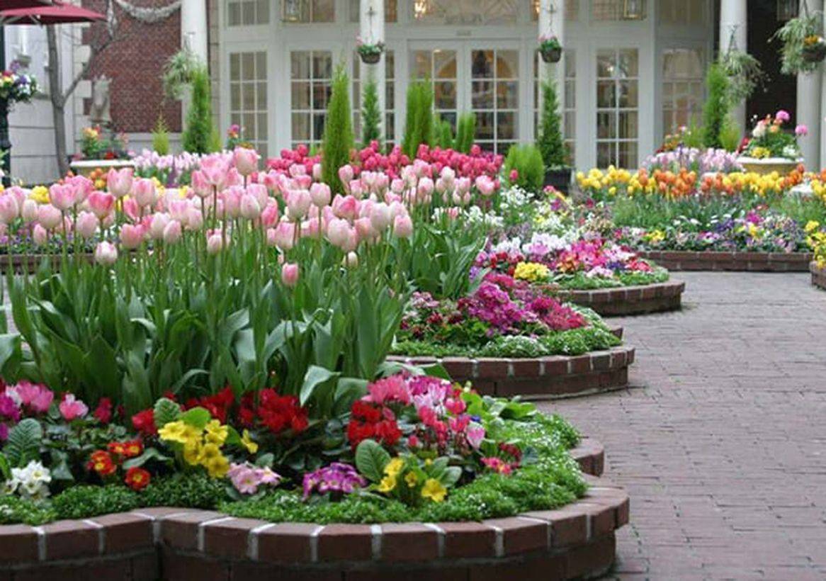 25 Beautiful Flower Garden Borders Ideas You Gonna Love | SharonSable