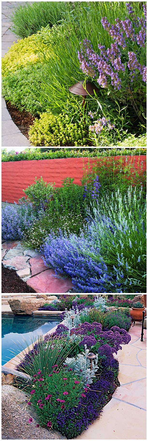 25 Beautiful Flower Garden Borders Ideas You Gonna Love | SharonSable