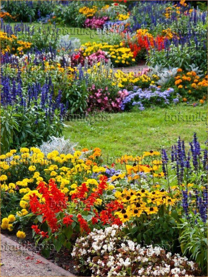 25 Beautiful Flower Garden Borders Ideas You Gonna Love | SharonSable