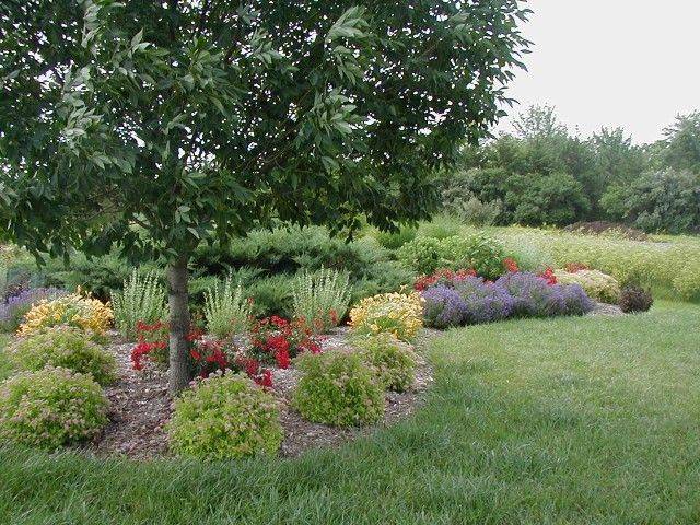 18 Sunny Border Garden Plans Ideas For This Year | SharonSable