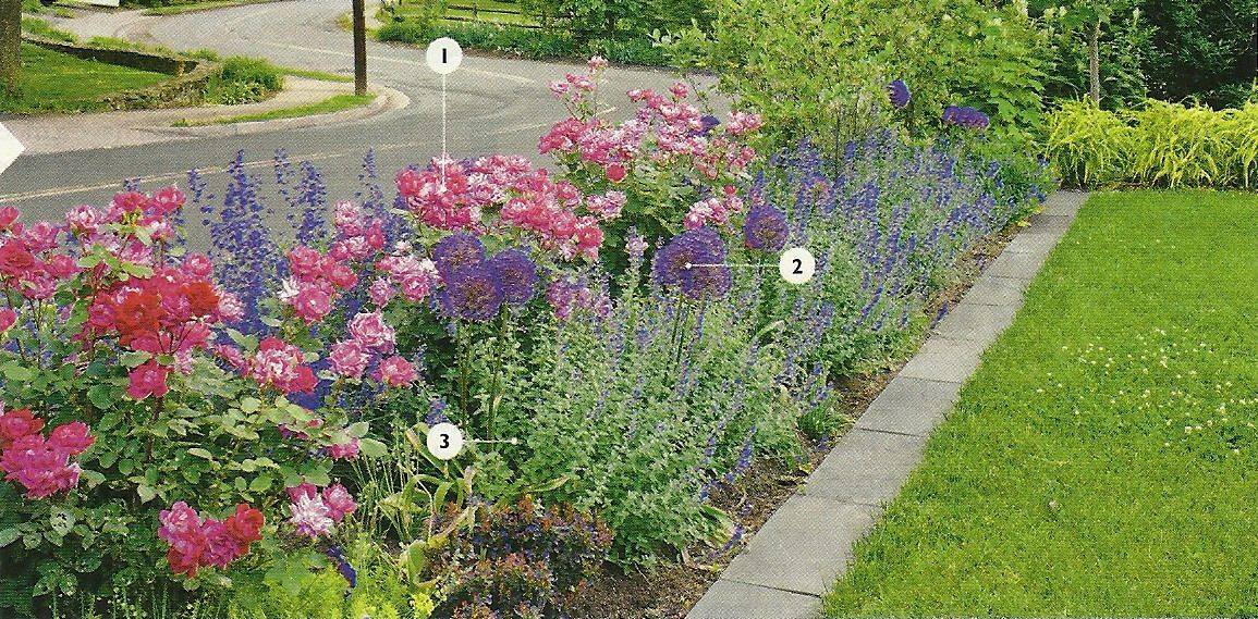18 Sunny Border Garden Plans Ideas For This Year | SharonSable