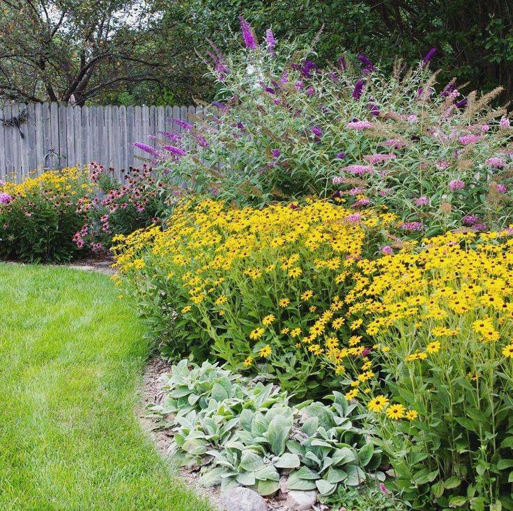 18 Sunny Border Garden Plans Ideas For This Year | SharonSable