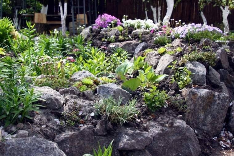 23 Alpine Rock Garden Ideas You Should Look | SharonSable