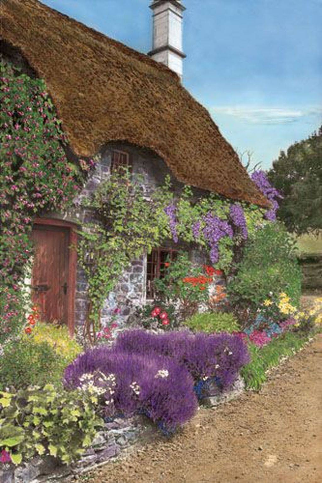 14 Irish Country Cottage Garden Ideas You Must Look | SharonSable